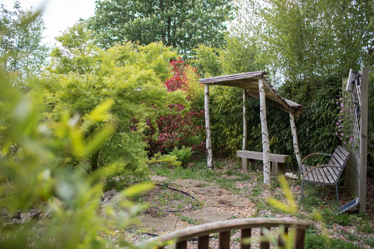 Professional support in schools - Children's Hospital School - Leicester